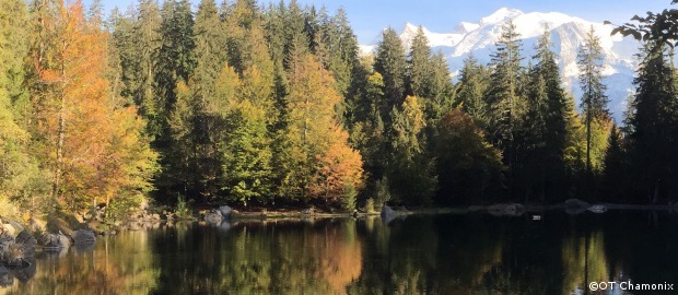 Servoz Chalets| Holiday Rentals Chamonix Valley - My Chalet Finder